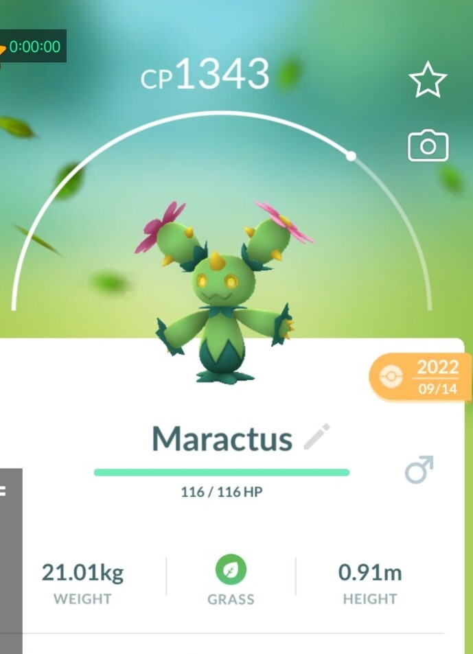 Maractus Evolution