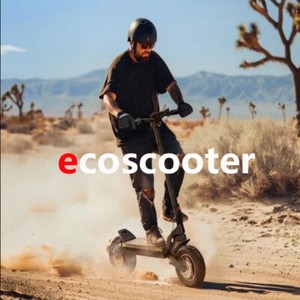 ecoscooter | eBay Stores
