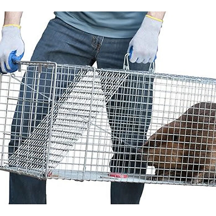 X-Large Humane Animal Trap Armadillos Beavers Bobcats Cats Dogs ...