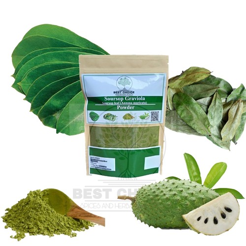 Dried Soursop leaf/Leaves/Ceylon Guanabana Graviola Guyabano Organic ...
