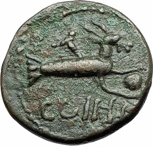 SEVERUS ALEXANDER 222AD Parium Parion Mysia Ancient Roman Coin ...