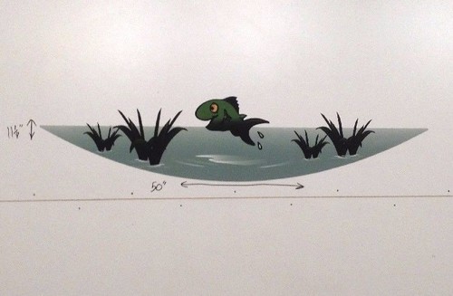 1Pc FISH IN POND FOREST RIVER R-POD CAMPER DECAL 50X11.25 RV MOTORHOME ...