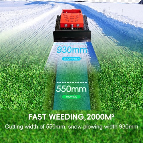 Intelligent Electric Remote Control Track Lawn Mower with Free Snow ...