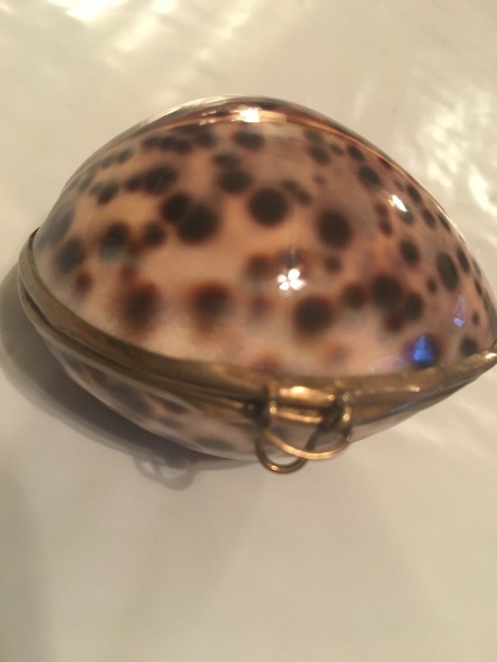 Cowrie Shell Trinket Box Brass Hinged Seashell Jewelry Egg Nice 🔥 | eBay