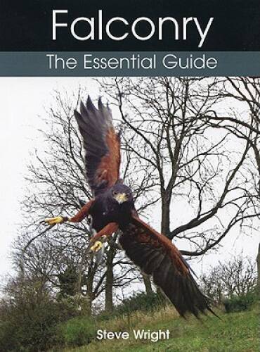 Falconry: The Essential Guide - Hardcover By Wright, Steve - VERY GOOD ...