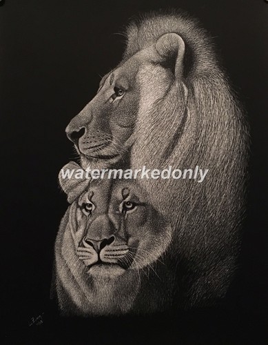 Mr and Mrs Lions Always in Love, as Usual- YES! Original 11"x14"x1/4 ...