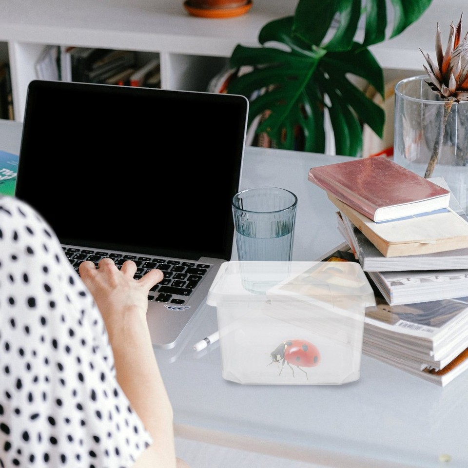 Habitat Box Practical Feeding Clear Bin Spider Box for Small Reptiles ...