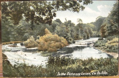 Irish Postcard IN THE DEMESNE LUCAN River Scenery Co Dublin Ireland ...
