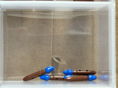 LEGO Parts - Reddish Brown Minifigure, Utensil Paint Brush - No 93552 ...