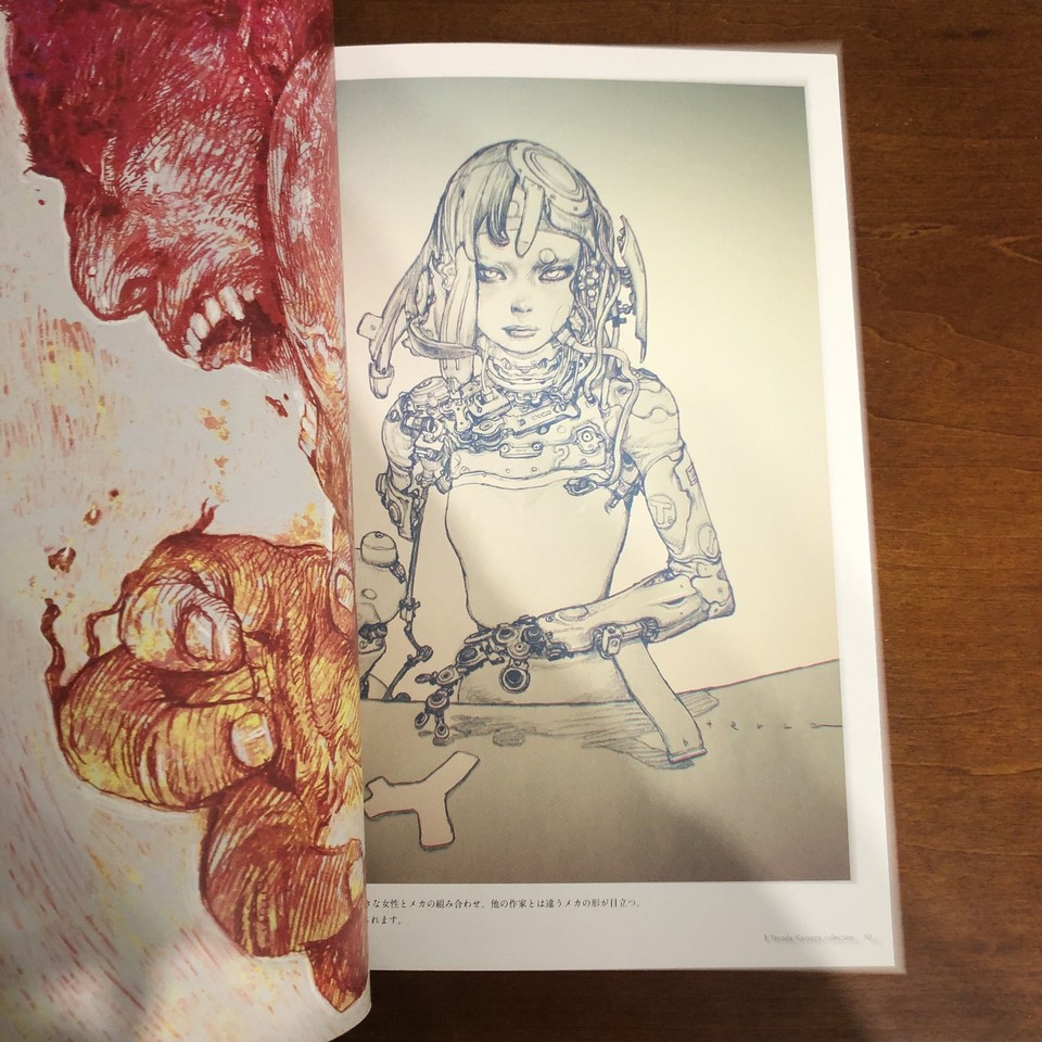Katsuya Terada + Kim Jong-gi Illustration Collection Art Book ...
