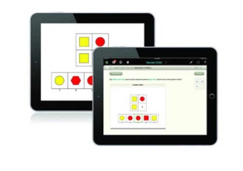 WISC-V Spanish Complete kit Wechsler Intelligence Scale for Children | eBay