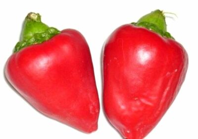 Sweet Pimento Pepper seeds bin353 | eBay