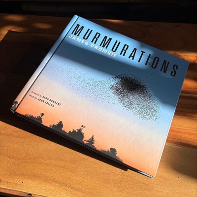 Murmurations by James Crombie Hardcover Book 9781843519119| eBay