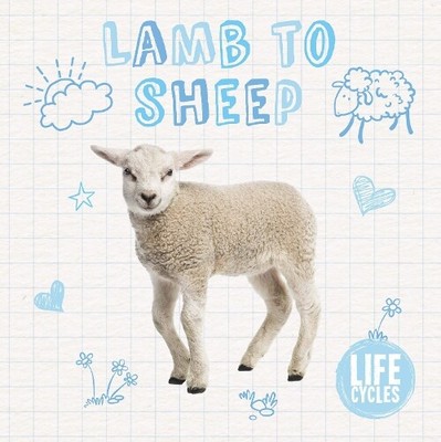 Holly Duhig Lamb to Sheep (Hardback) Life Cycles (UK IMPORT ...