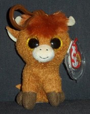 Angus the Cow - Beanie Boos - Beaniepedia