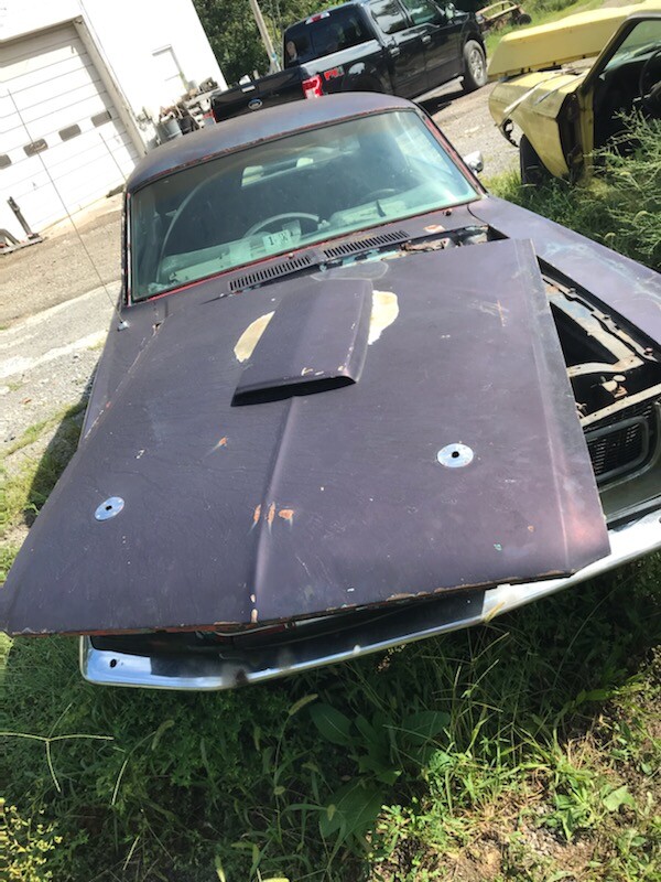 1967-1968 FORD MUSTANG Hood HOOD / Local Pickup | eBay