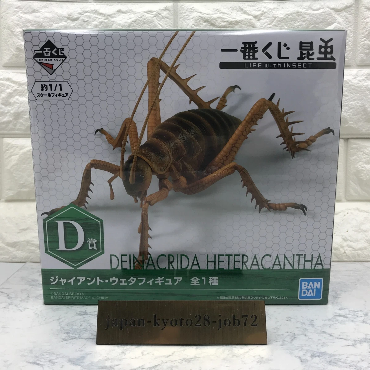 Weta In The Water Watcher