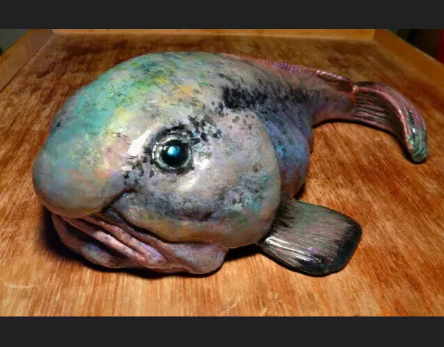 Blob Fish Real