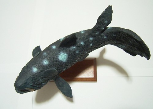 Coelacanth KAIYODO NATURAL HISTORIC MODEL COLLECTION AQUALAND FIGURE ...