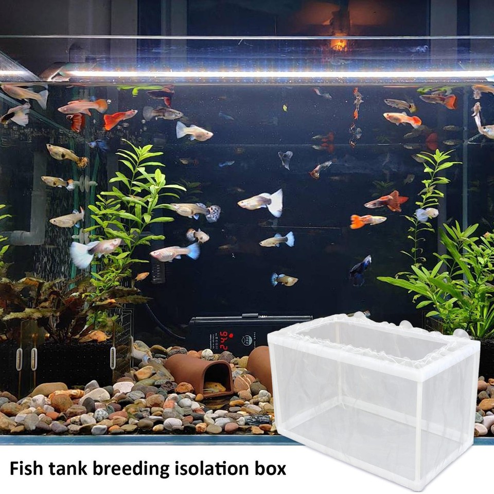 Aquarium Fish Tank Breeding Breeder Mesh Box Hatcher Juvenile Fish ...