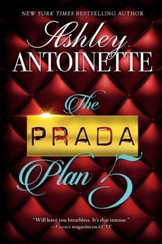 The Prada Plan 5 by Ashley Antoinette: New 9781250134493| eBay