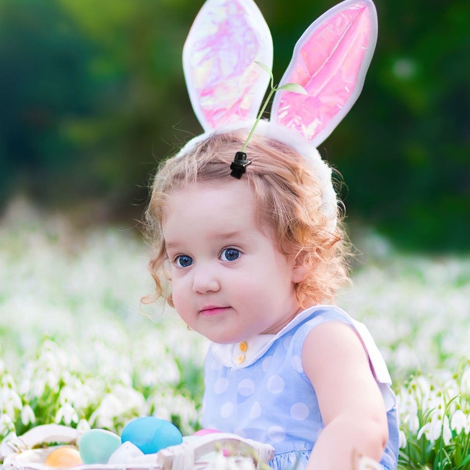 10pcs bean sprout hair clips Hair Clips Plant Bean Sprout Funny ...