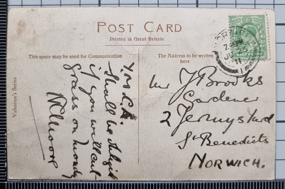 OLD POSTCARD 1911 NORWICH CATHEDRAL THE CLOISTERS | eBay