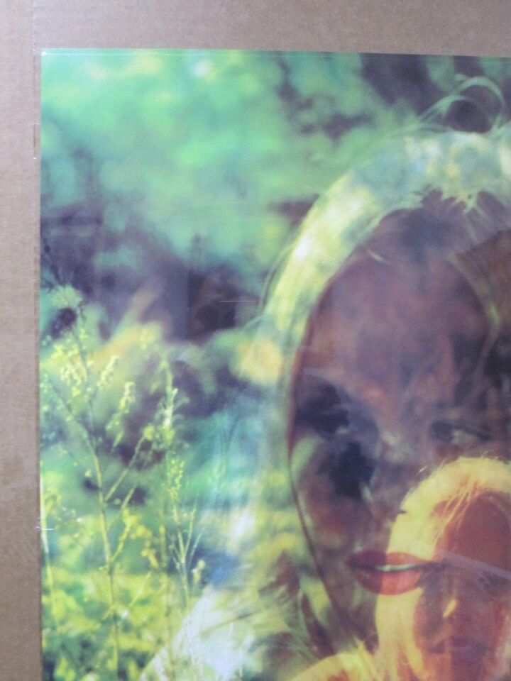 morning hunt Hot Girl poster Models 1970's vintage poster Inv#G3595 | eBay