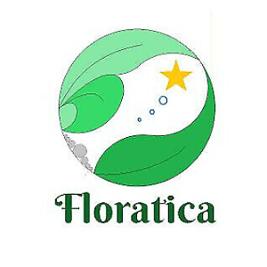 Floratica Live Aquatic Plants | eBay UK Stores