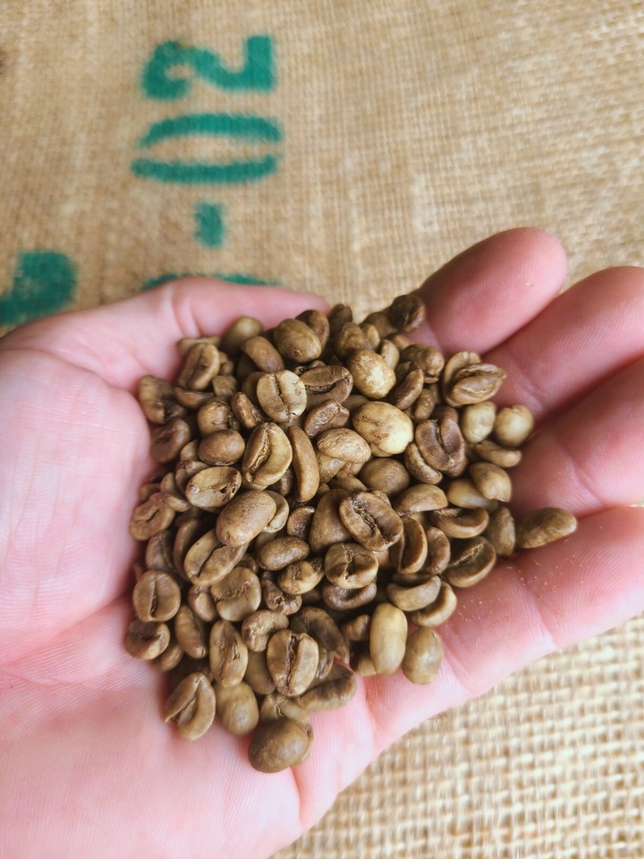 DECAF COFFEE BEANS - UNROASTED - GREEN | eBay