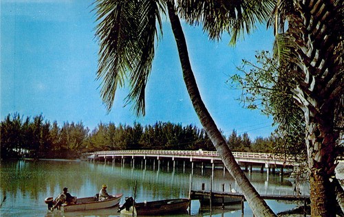 1964 FL Sanibel Island Captiva Blind Pass Bridge MINT Postcard N28 | eBay