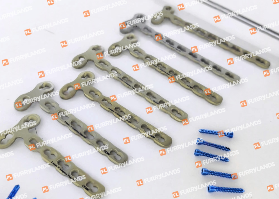 2.7mm Safety Locking T Adaption Plates 3–7 Holes with Screws – 72 Pcs ...