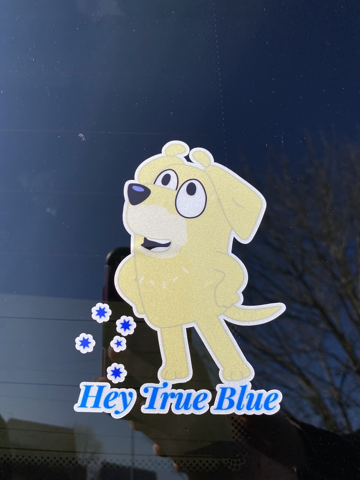 Hey True Blue Lucky’s Dad From Bluey | eBay