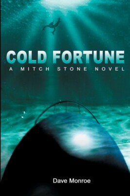 Cold Fortune: A Mitch Stone Novel 9780595217557| eBay