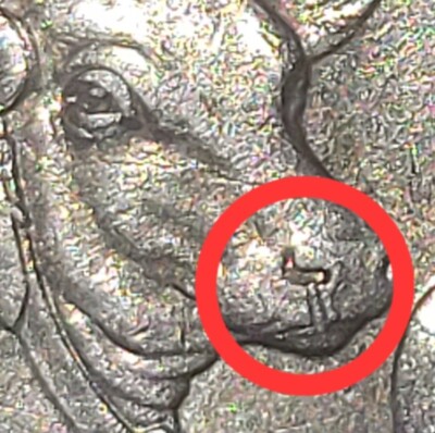 2004 P Quarter Wisconsin 💥💥💥💥💣 Error hits the cow's nose Verry Rare | eBay