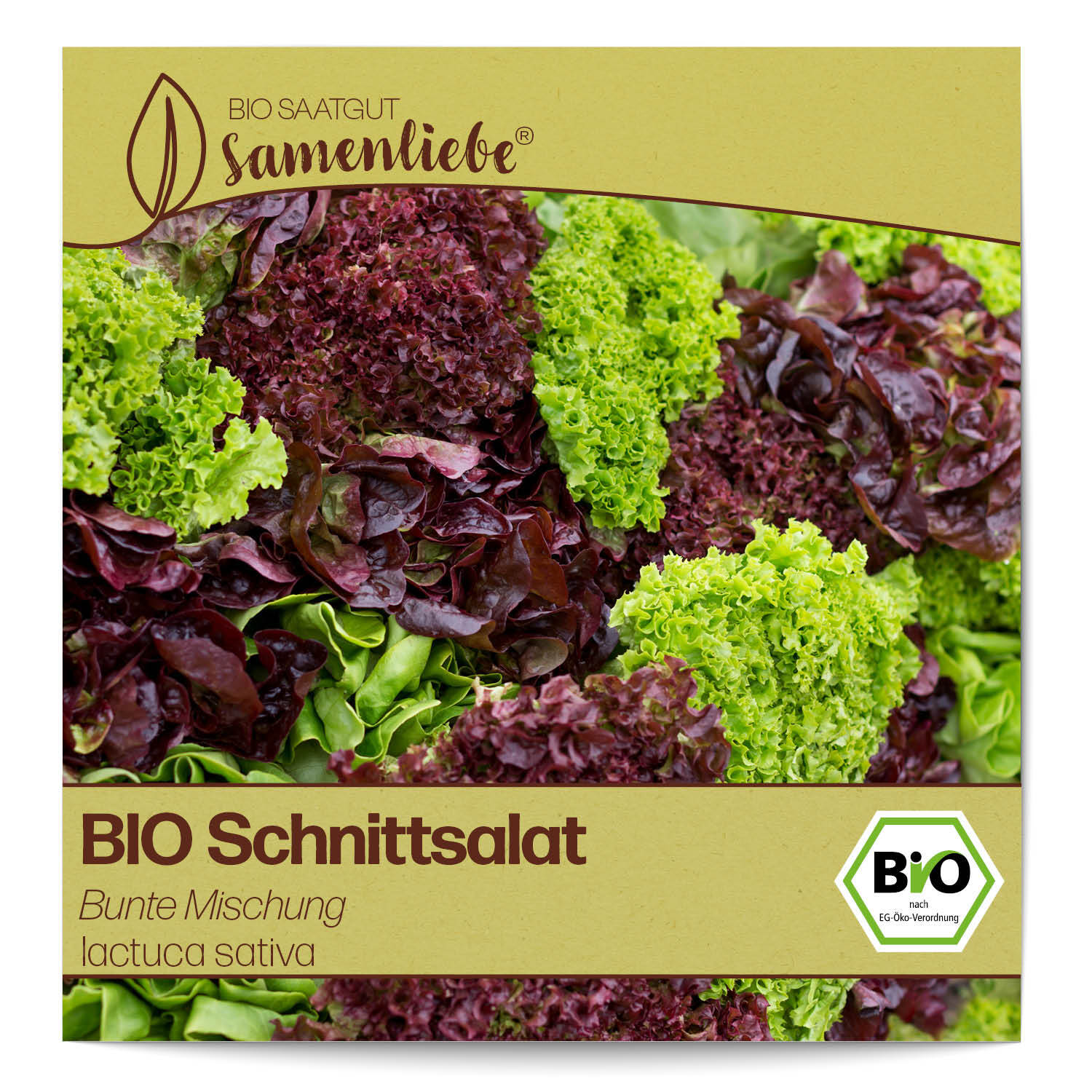 BIO Salat Samen Sorte Bunte Mischung Gemüsesamen BIO Gemüse Saatgut ...
