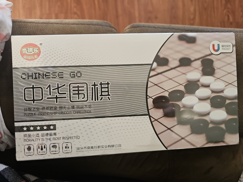 Chinese GO Magnetic Board Game | eBay