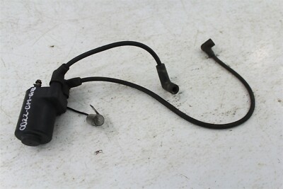 Craftsman GT-20 Garden Tractor Ignition Coil Onan P220 | eBay