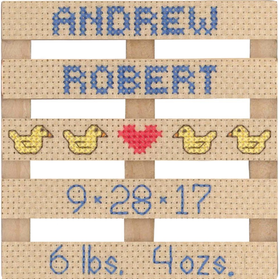 NEW! 2016 Janlynn STITCH PALLETS Counted Cross Stitch Kits YOU CHOOSE ...