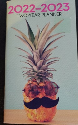 2022-2023 2-Year Pocket Planner Pineapple For School, Work, Appointment ...