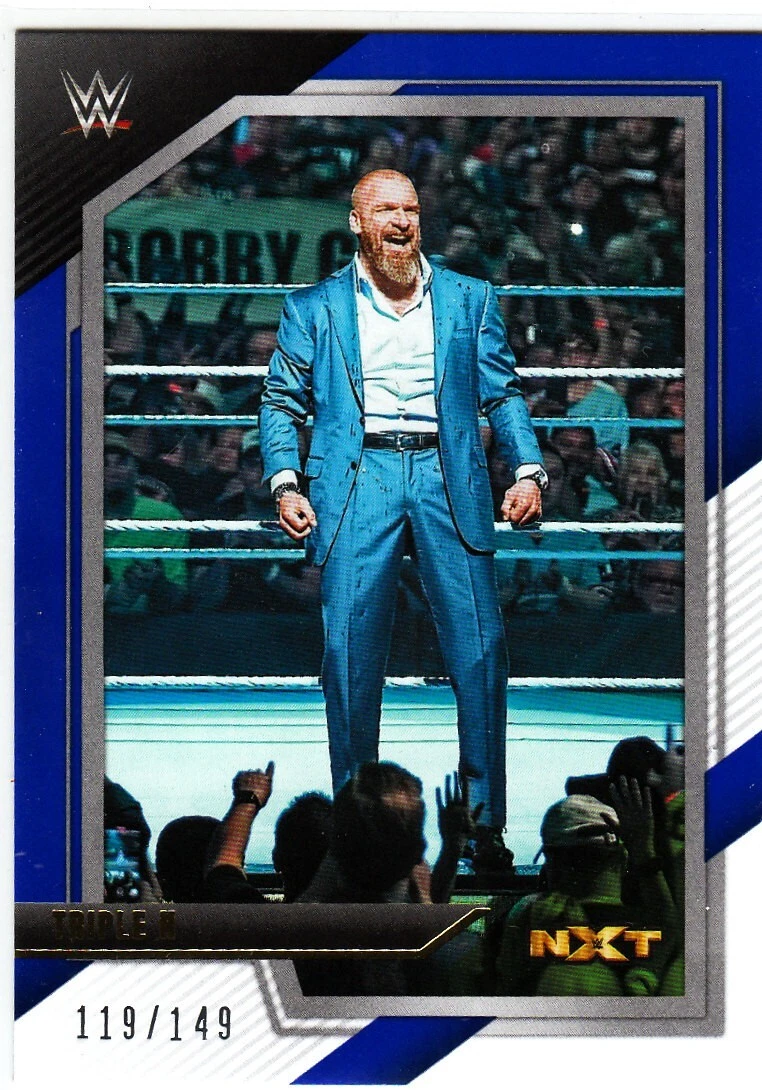 Triple H 2022 Suit