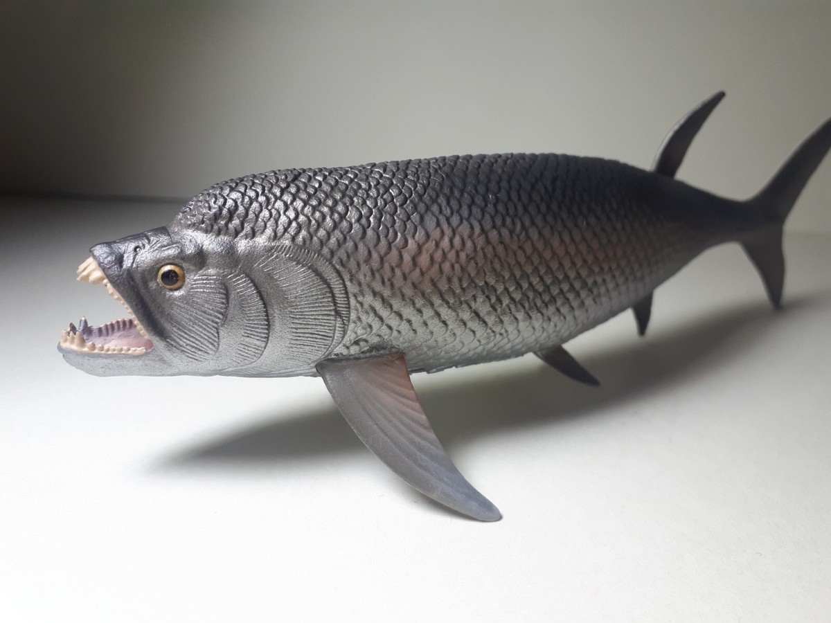 Xiphactinus Fish Fossilized Ecological Interactions Nature Talk