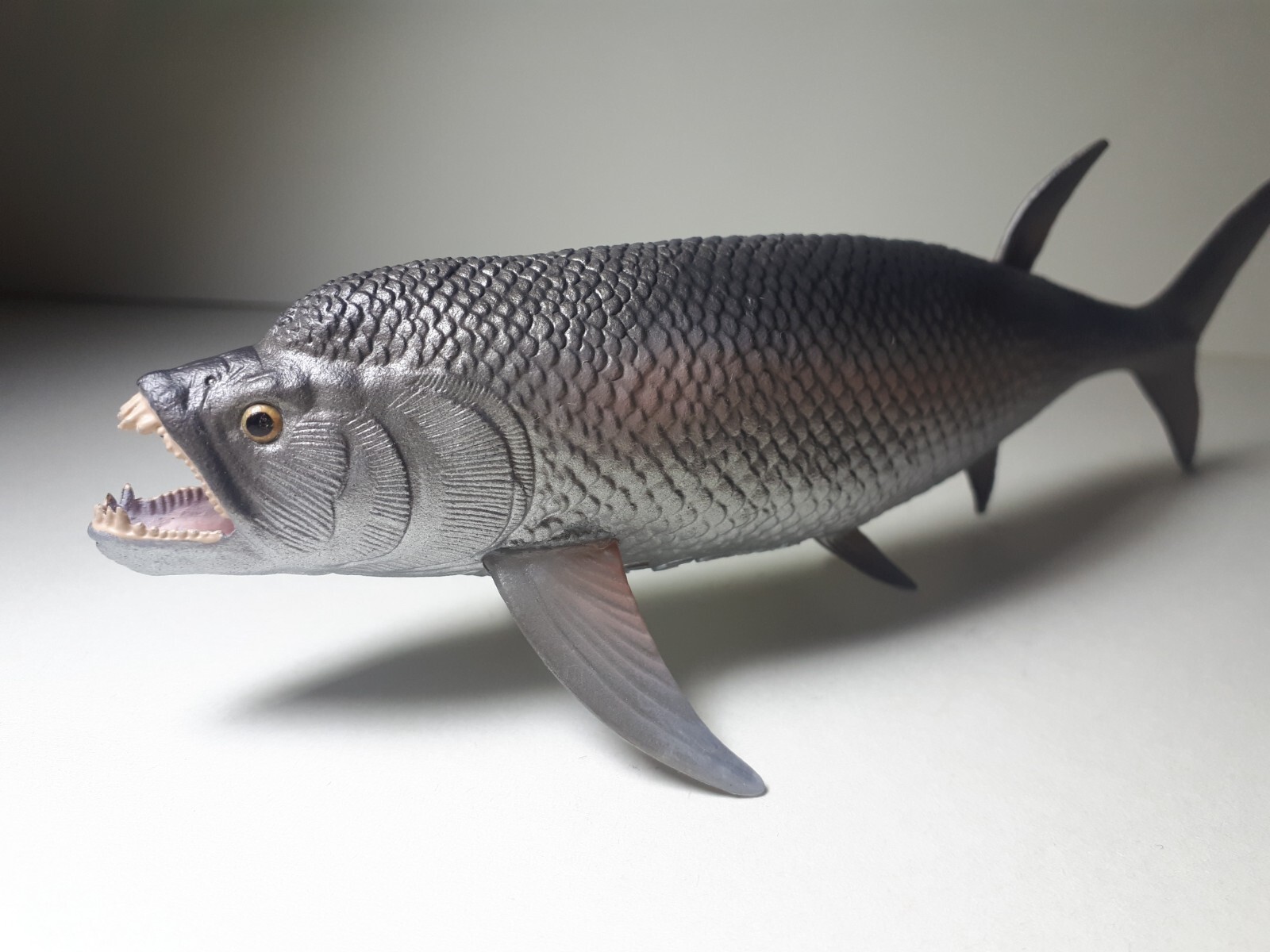 2021 NEW Collecta Dinosaur Toy / Figure Xiphactinus - 1:40 Scale | eBay