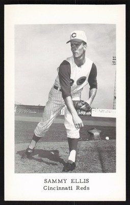 Sammy Ellis 1962 Cincinnati Reds Team Issued Postcard Photocard TL125 ...