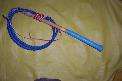 4x4 Blue Stock Whip | eBay Australia