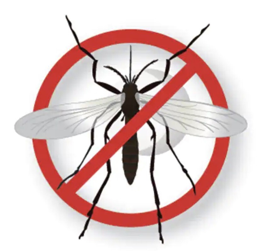 Black Flag 190256 64 oz Mosquito Fly Insect Fogger Fogging Insecticide ...