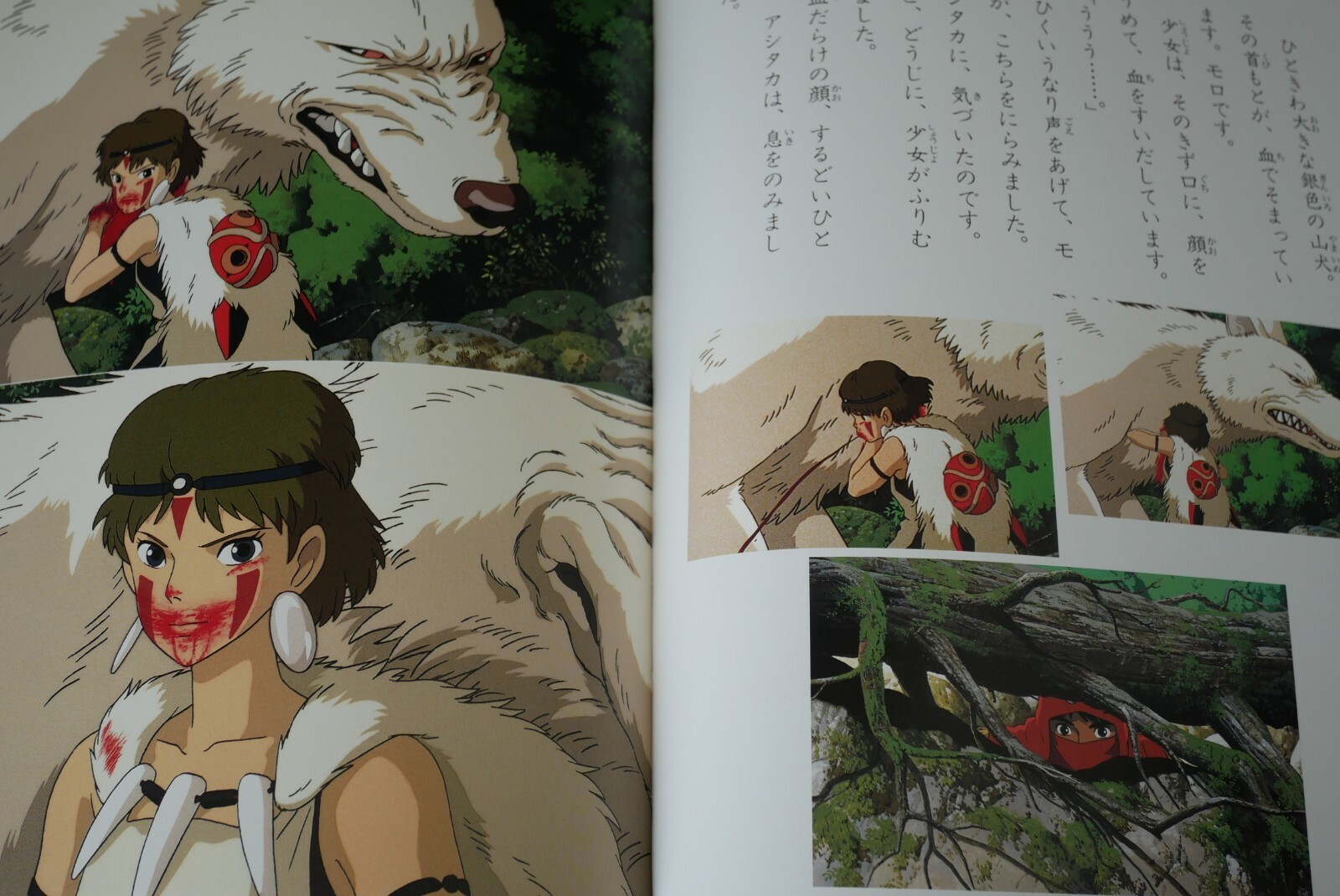 Princess Mononoke - Picture Book 1 by Hayao Miyazaki JAPAN | eBay