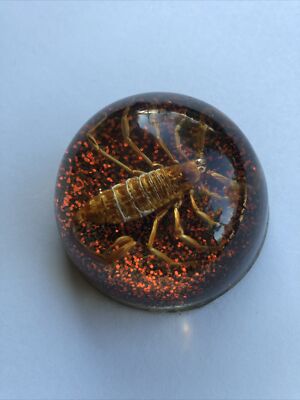 Yellow Scorpion paperweight in half dome Circle Resin Orange Felt ...