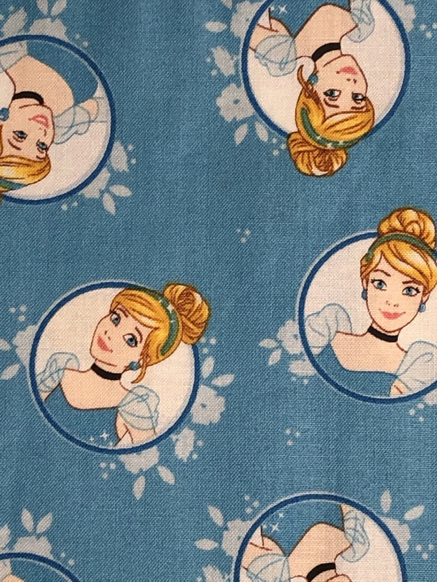 Fat Princess Cinderella