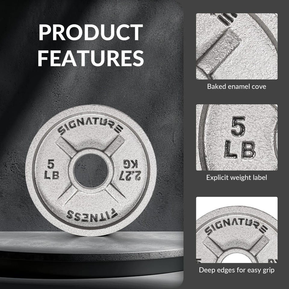 Deep Dish 2-Inch Olympic Cast Iron Weight Plates with E-Coating Grey ...
